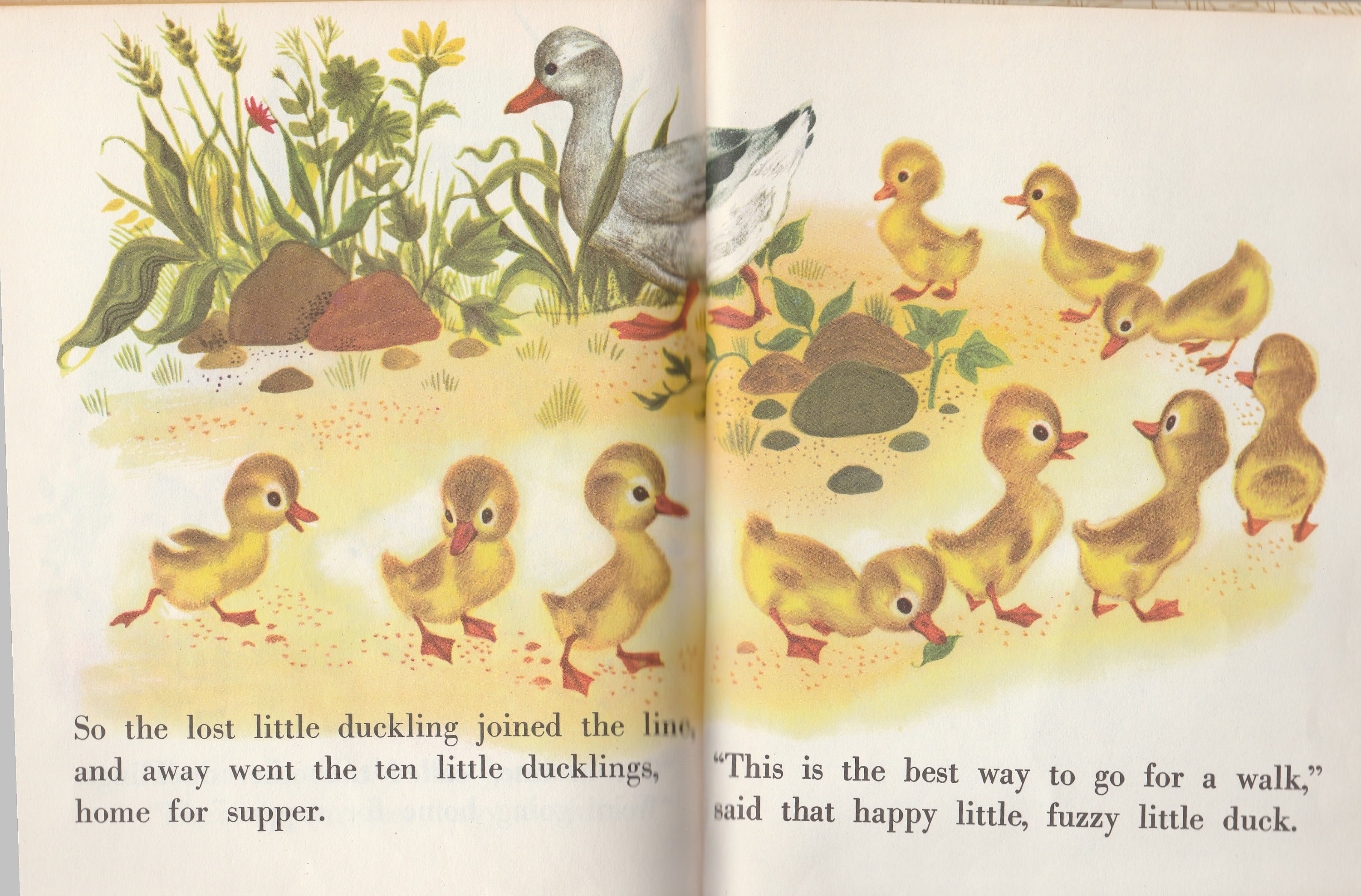 Vintage 1969 Little Golden Book the Fuzzy Duckling - Etsy