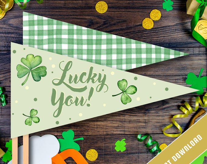 St. Patrick’s Day Printable Pennant Flags | DIY Party | Classroom Decor ...