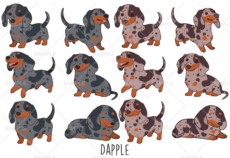 Dachshund Clipart, Vector SVG EPS, PNG Clip Art, Commercial Use ...