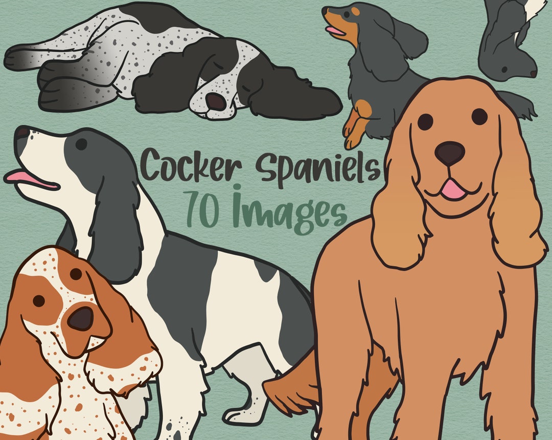 Cocker Spaniel Clipart, PNG Clip Art, Red Black Blue Orange Roan Dog ...