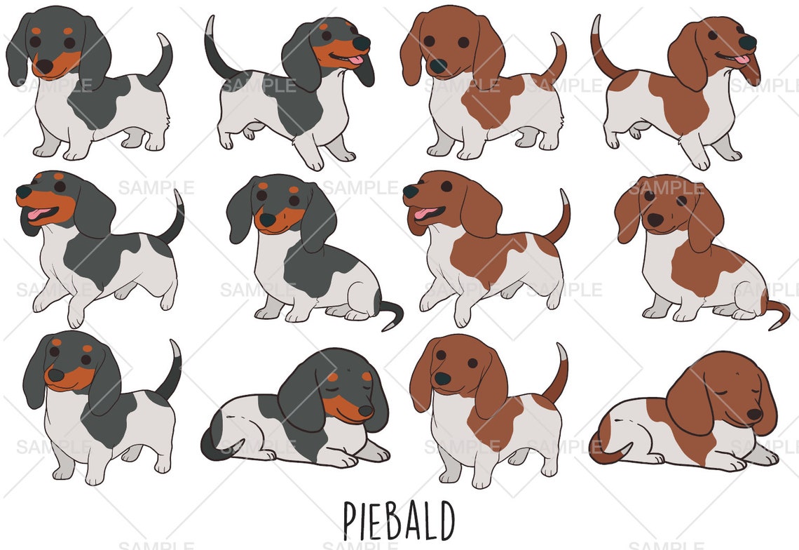 Dachshund Clipart, Vector SVG EPS, PNG Clip Art, Commercial Use ...