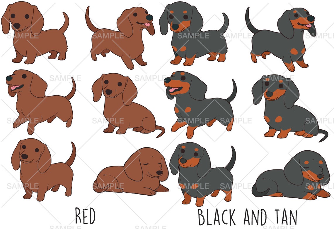 Dachshund Clipart, Vector SVG EPS, PNG Clip Art, Commercial Use ...