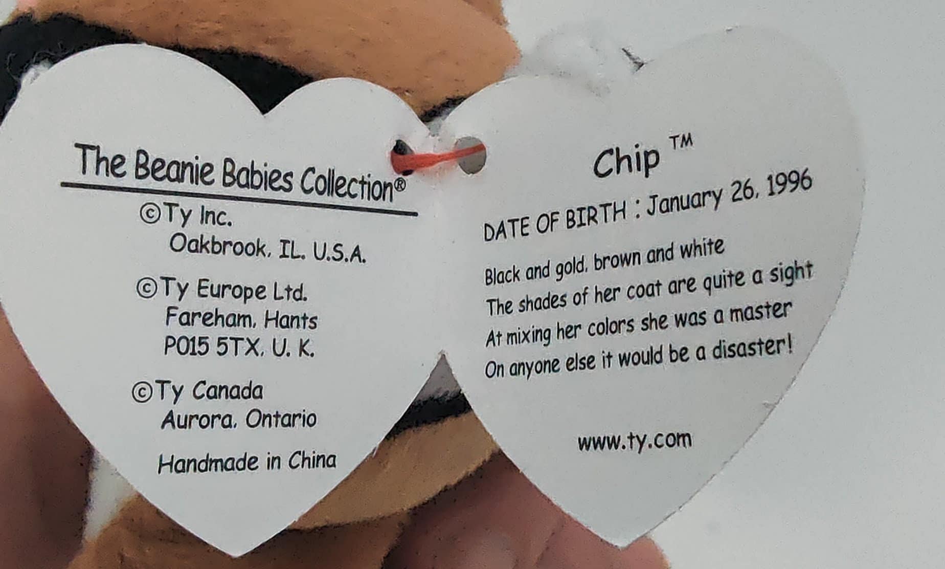 1996 Beanie Babies Chip the Cat - Etsy
