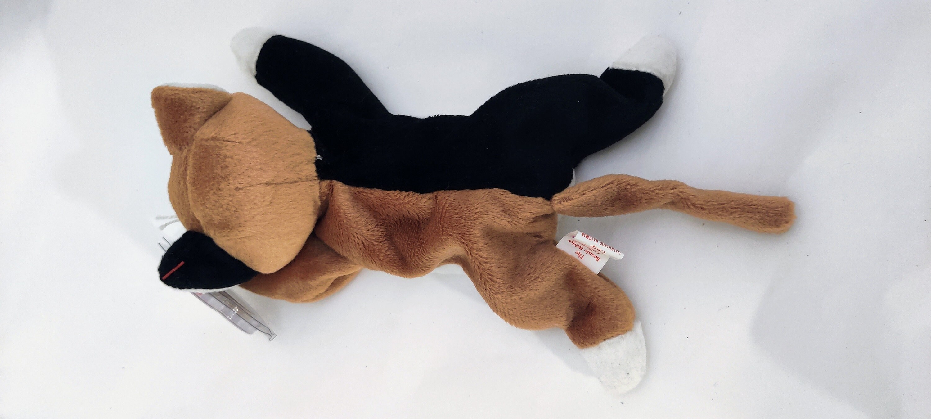 1996 Beanie Babies Chip the Cat - Etsy