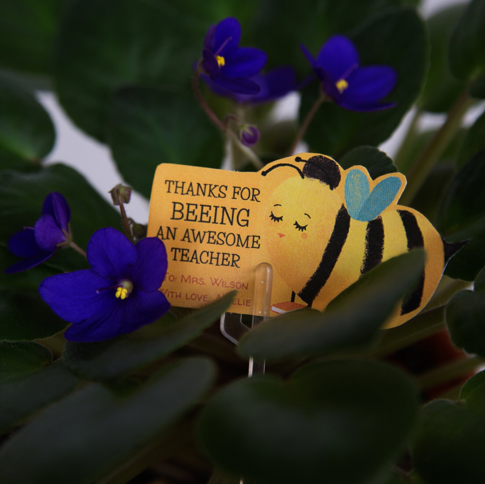 Bee Teacher Tags. Printable Teacher Thank You Tag. Personalized Flower ...