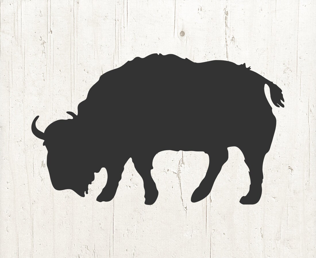 Buffalo SVG Bison SVG Buffalo Graphic Buffalo Png Buffalo | Etsy
