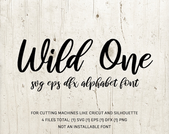 Alphabet Font SVG, Calligraphy Font SVG, Handwritten Script Cricut Svg ...
