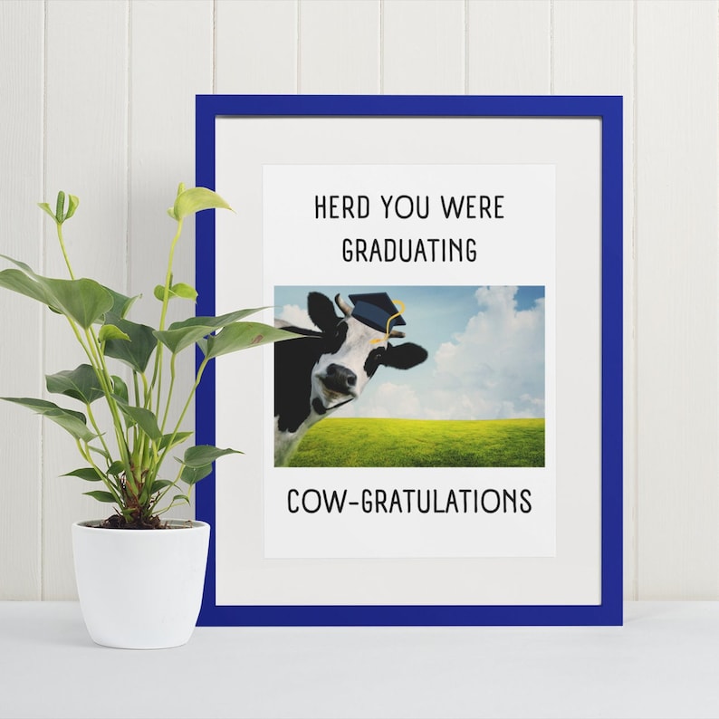 Cow Graduation Card, Congratulations, 5x7 - Etsy