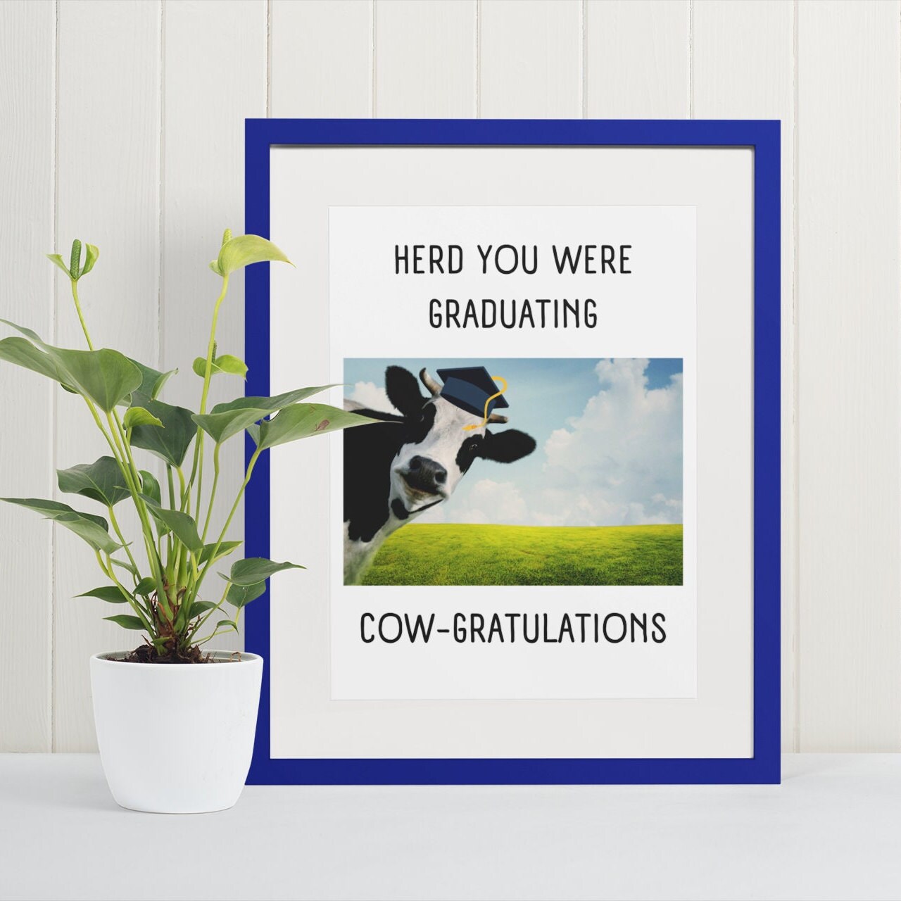 Cow Graduation Card, Congratulations, 5x7 - Etsy