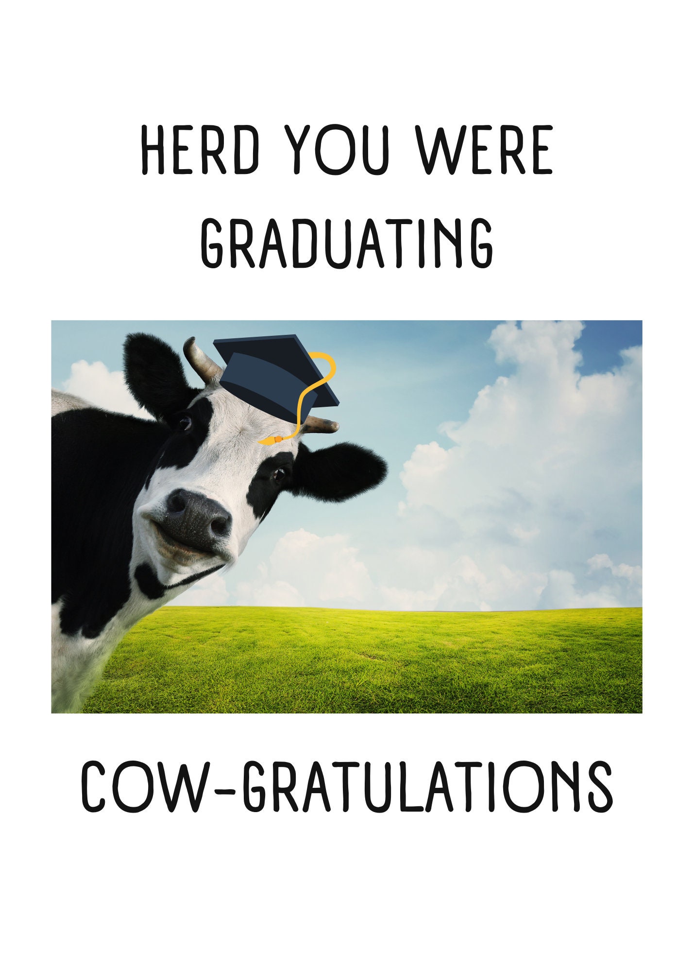 Cow Graduation Card, Congratulations, 5x7 - Etsy