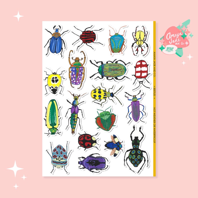 Beetles Sticker Set: Colorful Bug Stickers, Scrapbook Stickers - Etsy