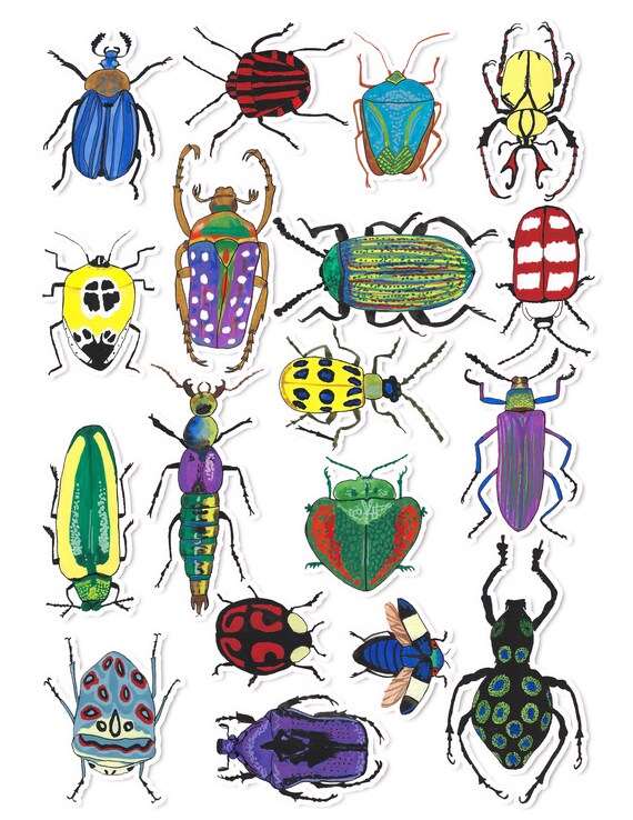 Beetles Art Sticker Set | Etsy