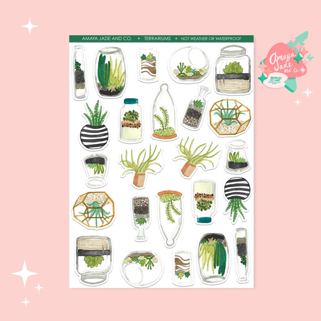Terrariums Art Sticker Set Plants Planters Succulents Containers Potted ...