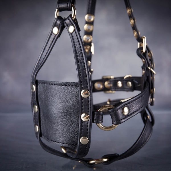 Leather Panel Gag - Etsy