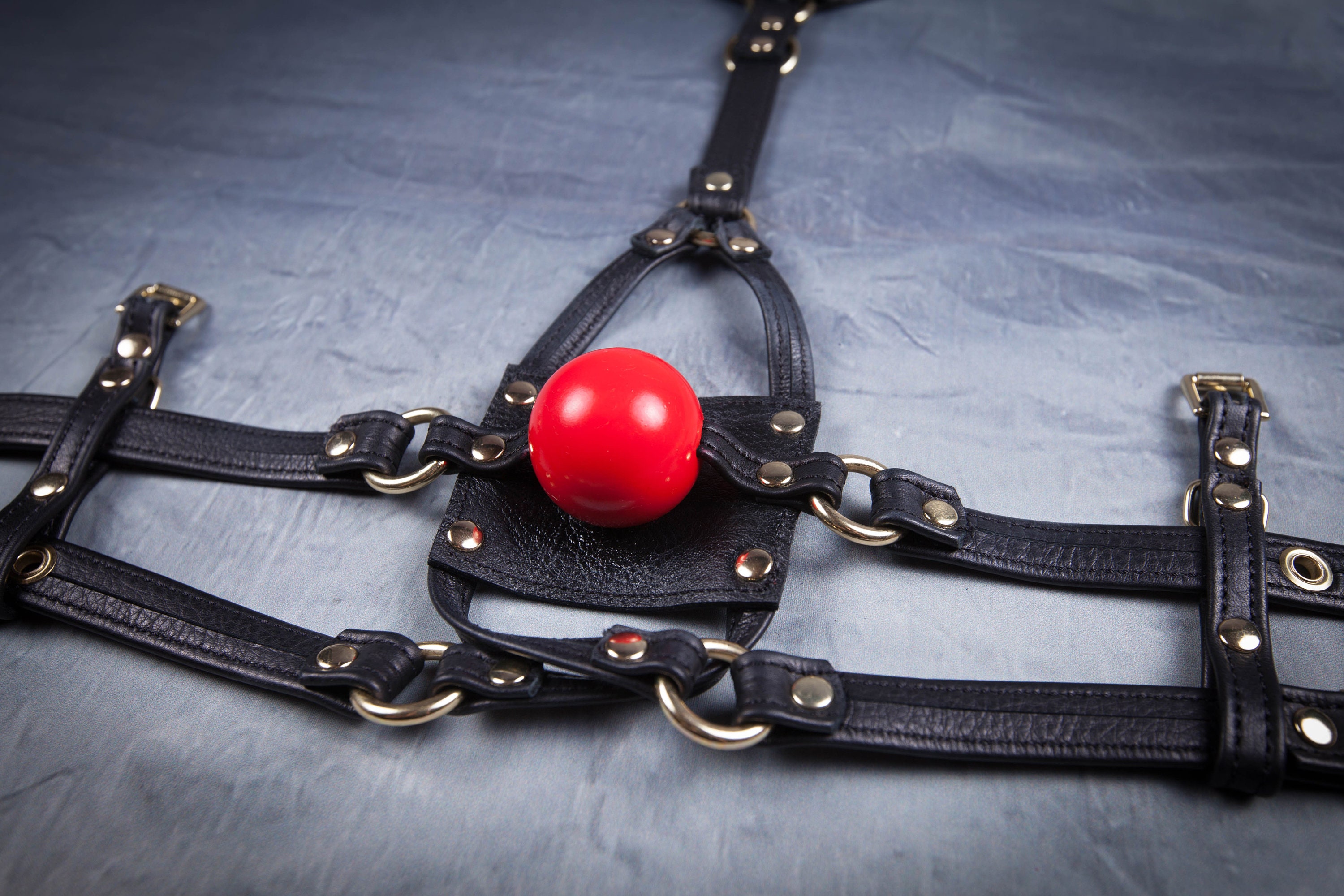 Panel Harness Gag / Brass Hardware - Etsy Australia