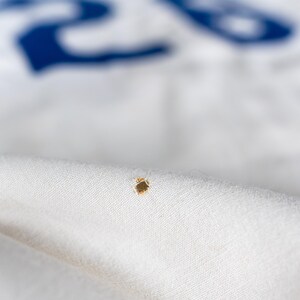 Los Angeles Dodger Derrell Griffith Spalding Major League Baseball ...