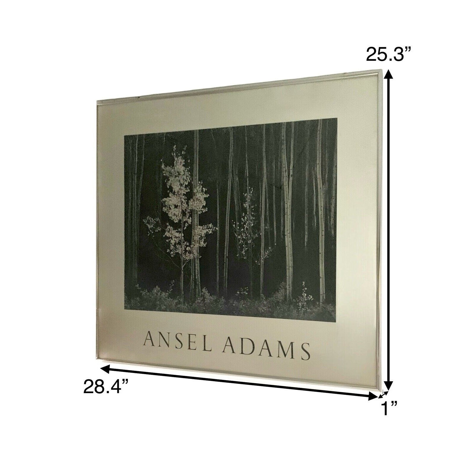 Ansel Adams Collection Large Poster Professionally Framed Vintage Art ...