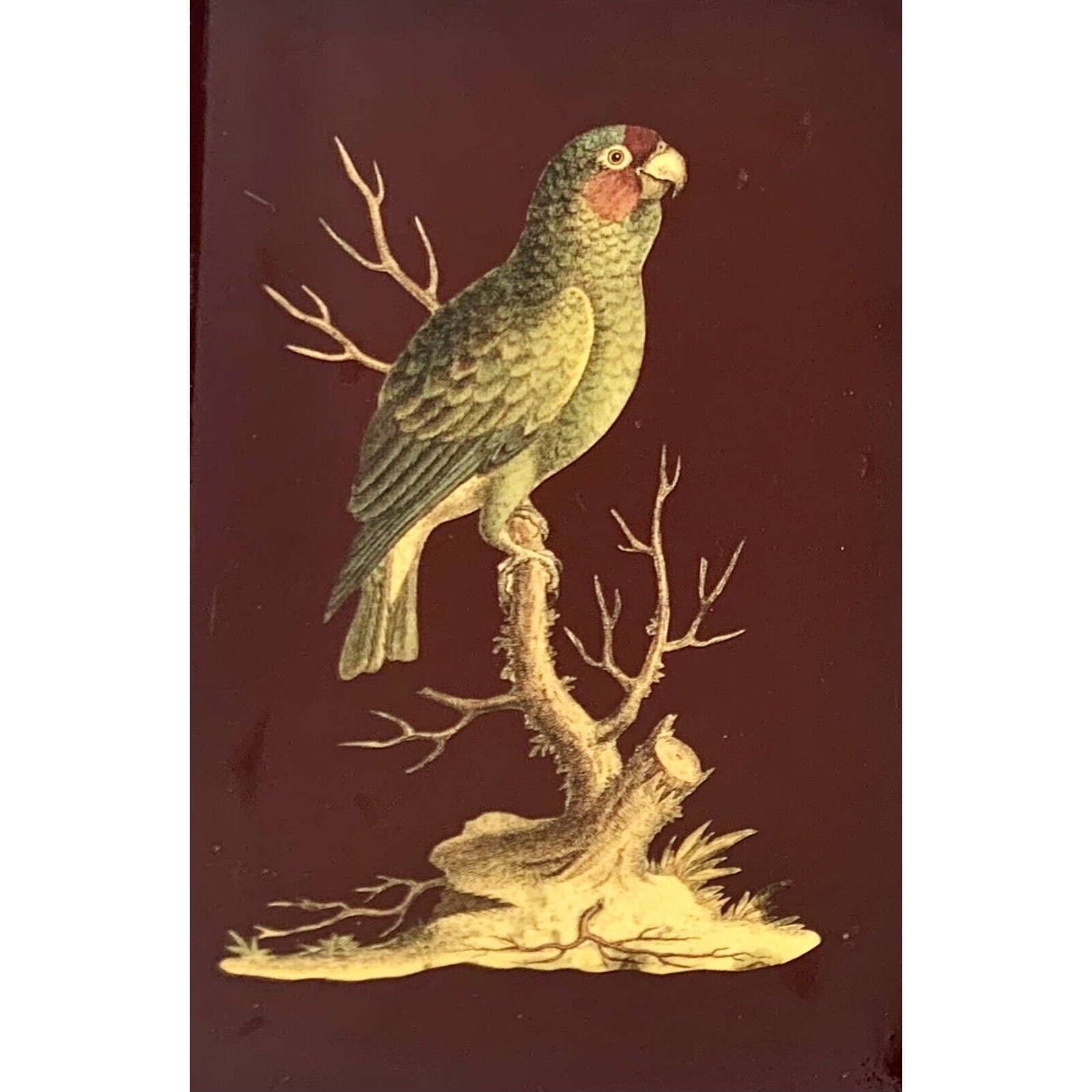 Tray With Bird Parrot Design Vintage Laquard Wood & Golden Accent Gift ...