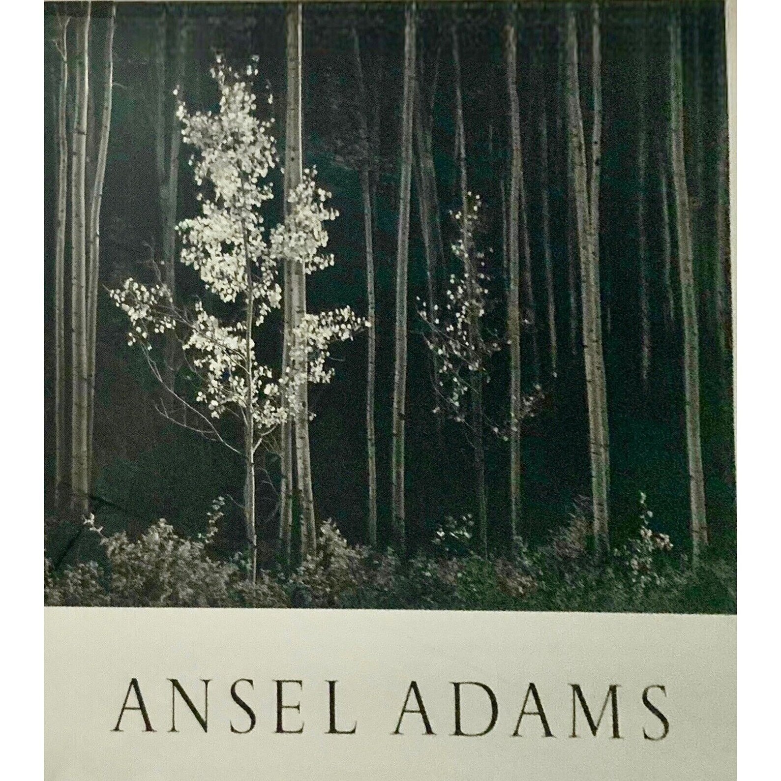 Ansel Adams Collection Large Poster Professionally Framed Vintage Art ...