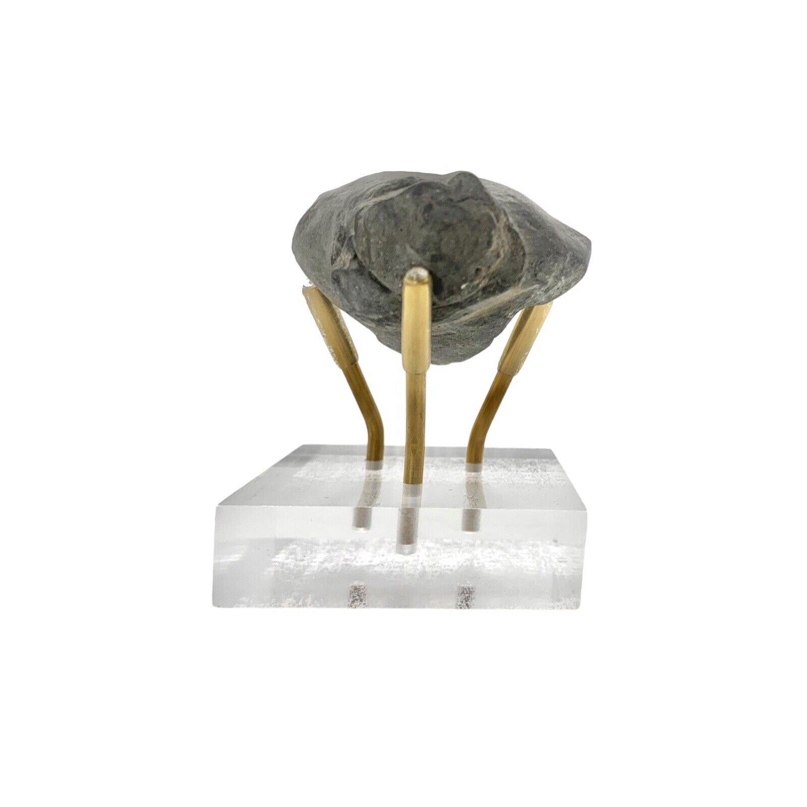 Antique Artifact Pre-columbian Head Fragment on Golden Acrylic Base ...