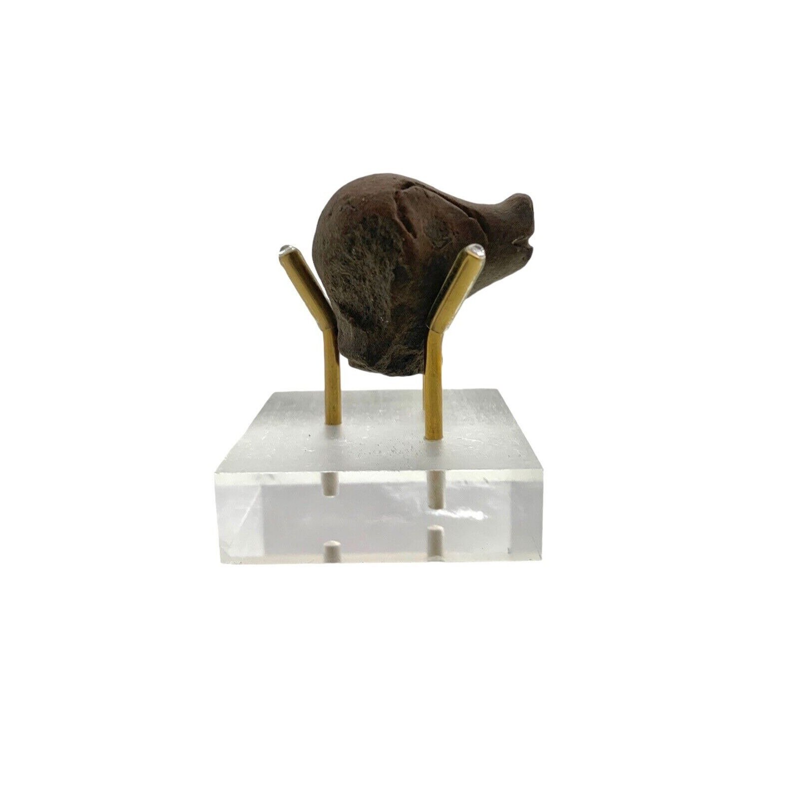 Antique Artifact Pre-columbian Head Fragment on Golden Acrylic - Etsy