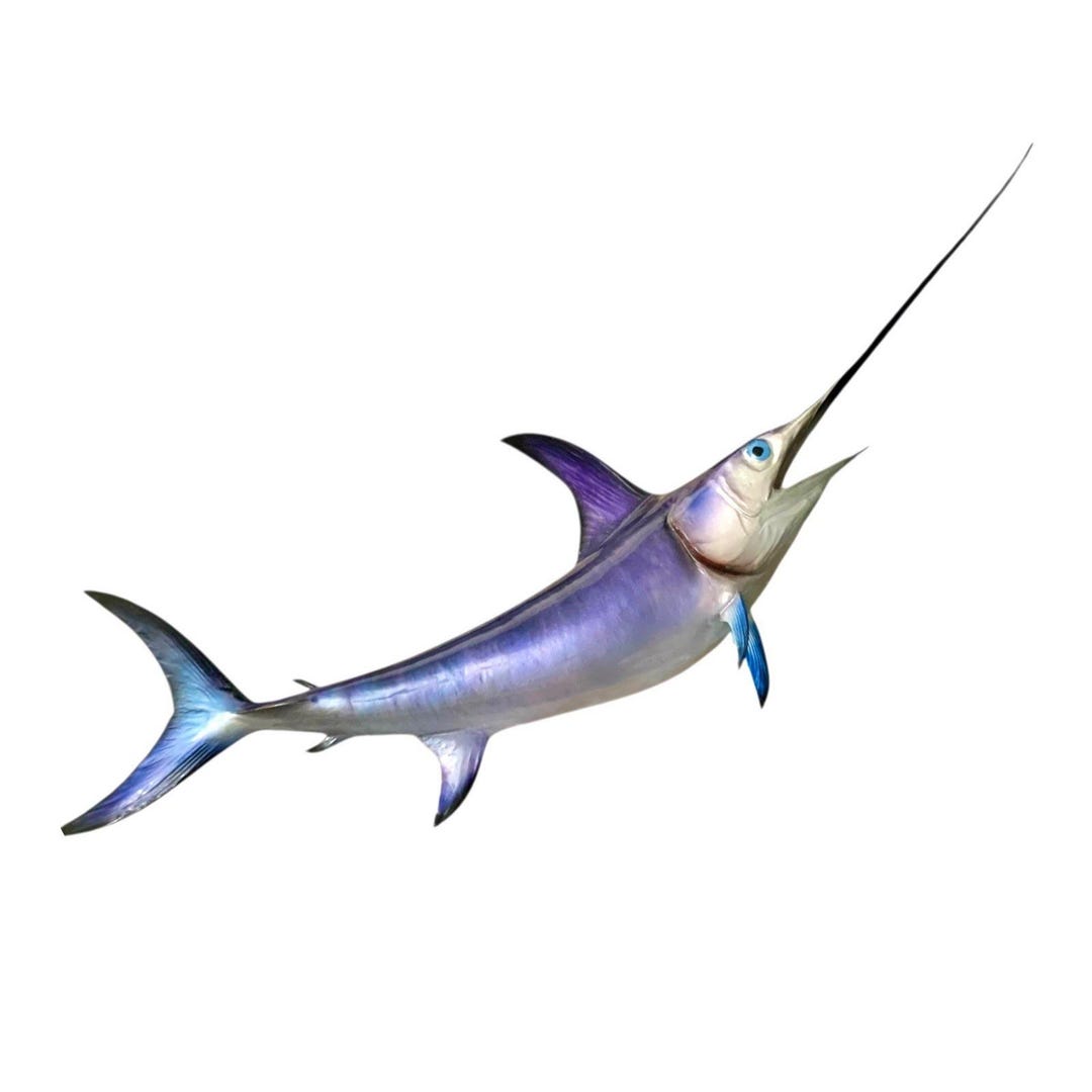 Swordfish Fish Sculpture Large Fiberglass Wall Mount Nautical Fishing ...