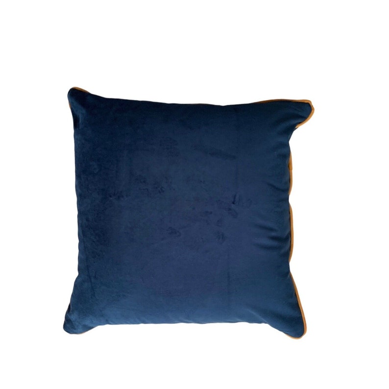 Decorative Bird Pillow Blue Macaw Design Velvet Embroidered for ...