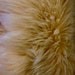 Sasha BEIGE 2 Inch Long Pile Soft Luxury Faux Fur Fabric - Etsy