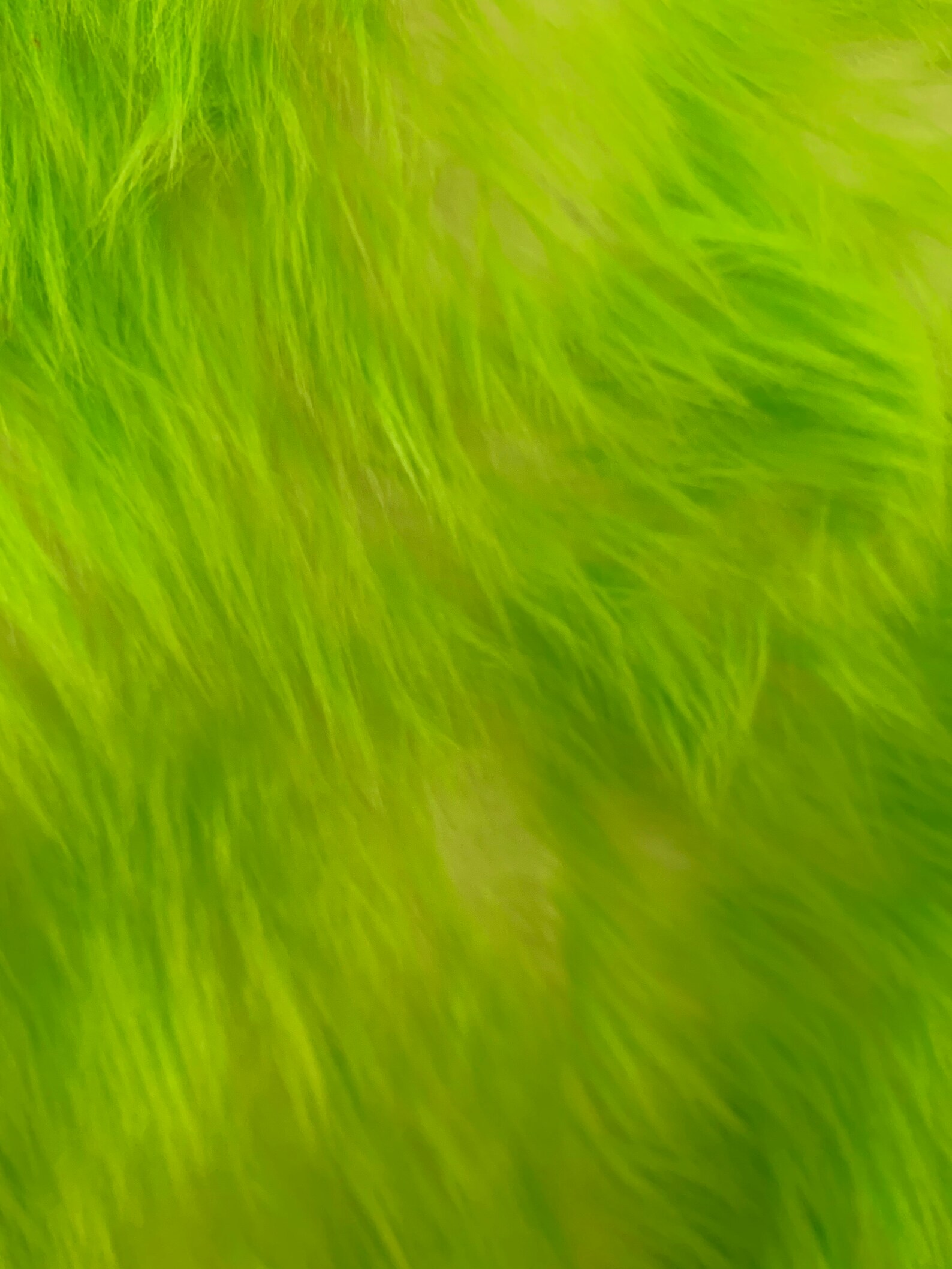 Bristol LIME GREEN Tip Candy Shag Long Pile Soft Faux Fur | Etsy