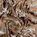 Arisa BROWN Gold Dragon Brocade Chinese Satin Fabric for Cheongsam ...