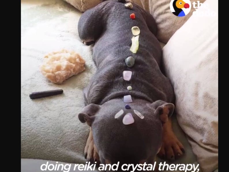 PET CRYSTALS Beloved Pets Set of Healing Crystals. (not Those Depicted ...