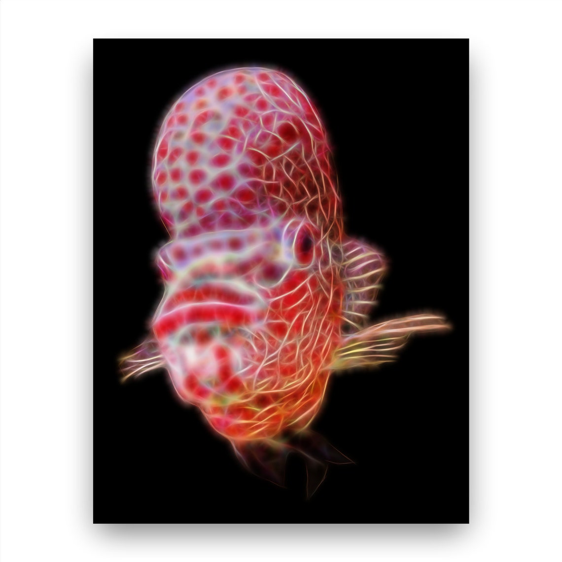Flowerhorn Cichlid Fish Print With Stunning Fractal Art Design - Etsy