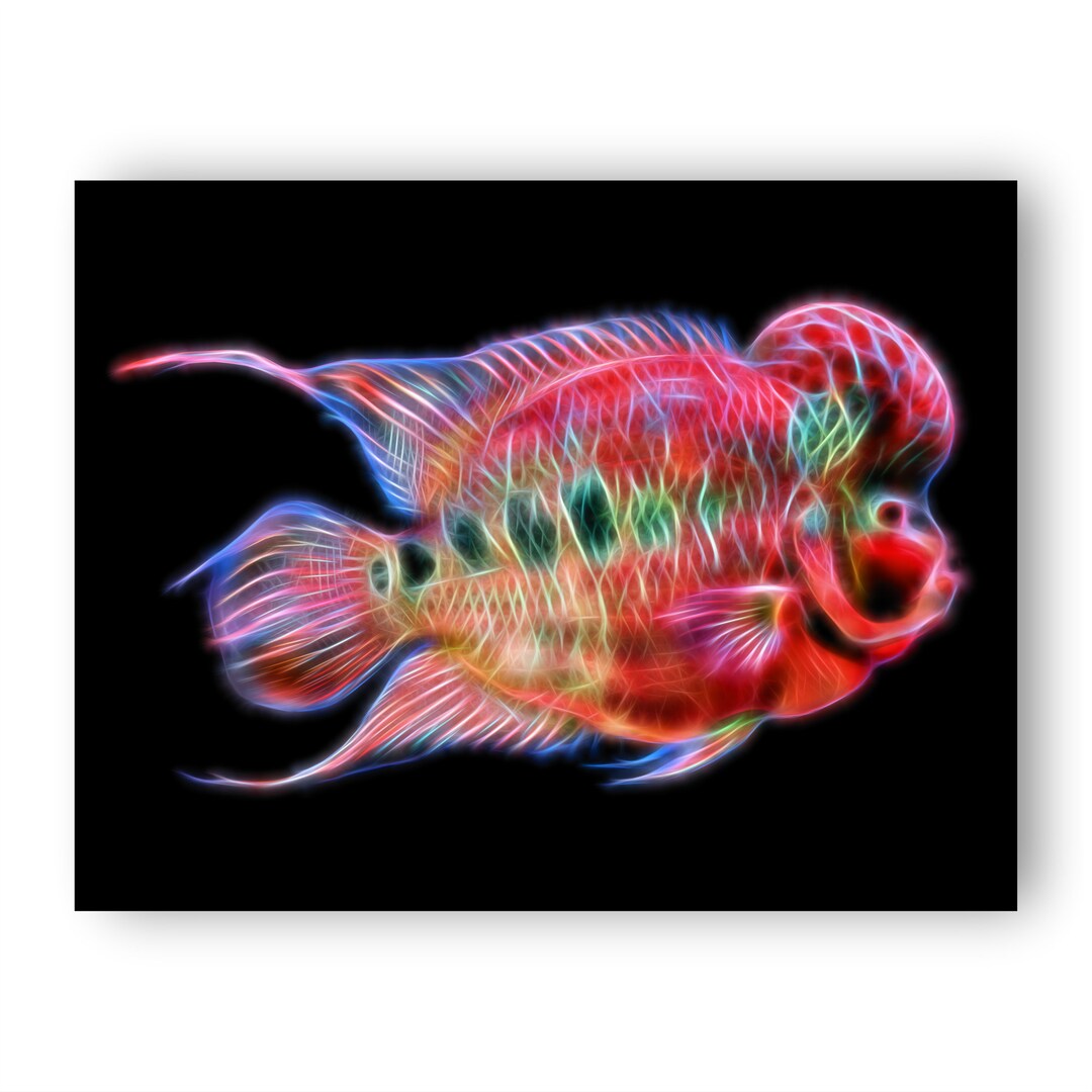Flowerhorn Cichlid Fish Print With Stunning Fractal Art Design - Etsy