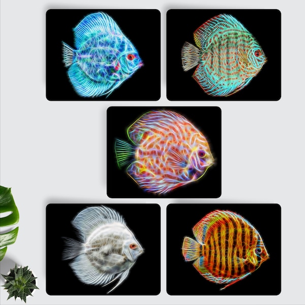 Discus Fish Wall Art Print - Etsy