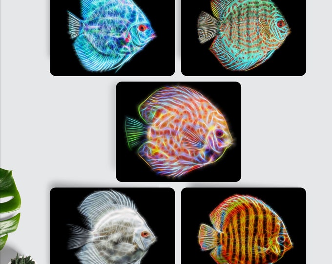 Discus Fish, Art Print, 10 X 10 Inches, Square, Oil Painting, Aquarium ...