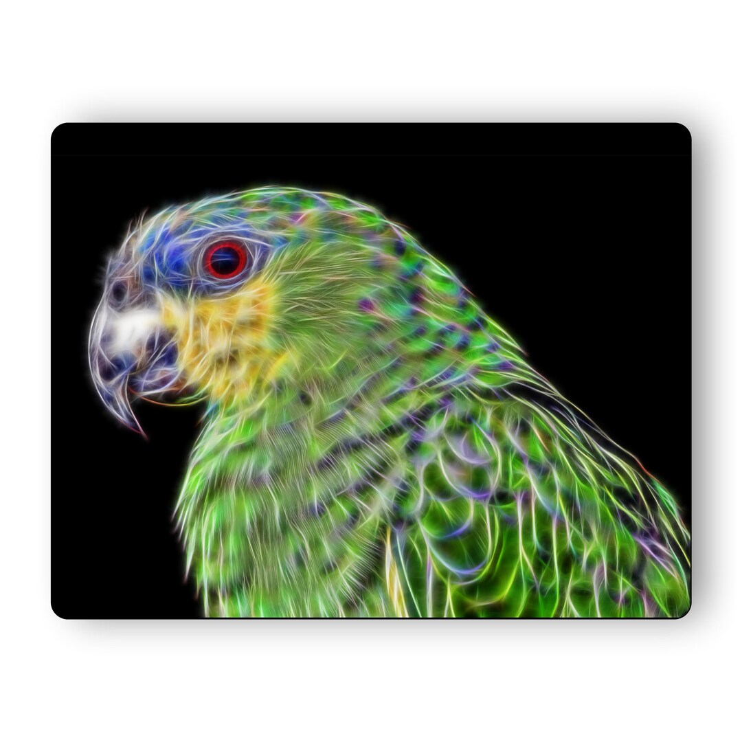 Orange Winged Amazon Parrot Fractal Art Aluminium Metal Wall Plaque - Etsy