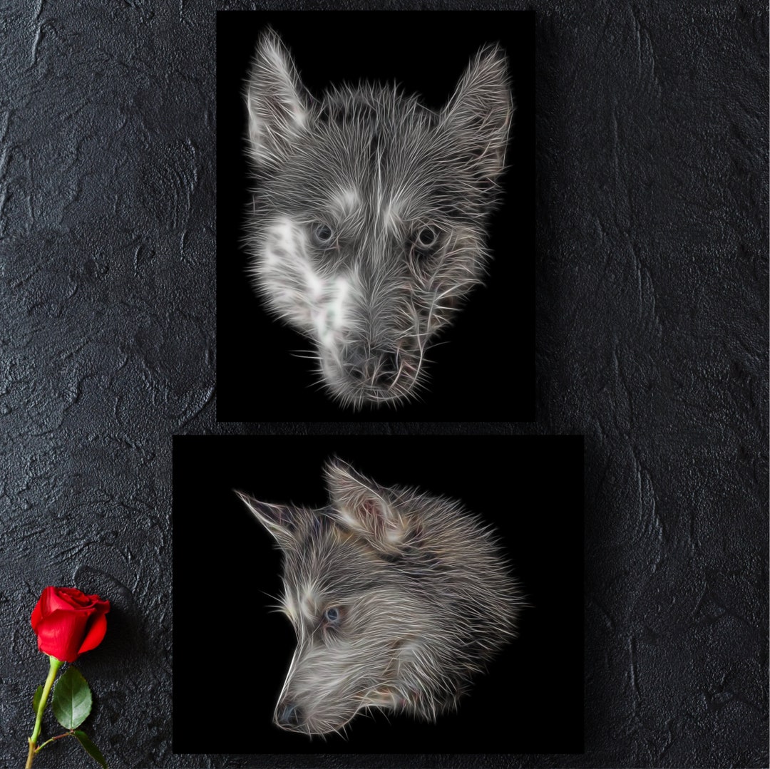 Siberian Husky Print With Stunning Fractal Art Design. Various Sizes ...