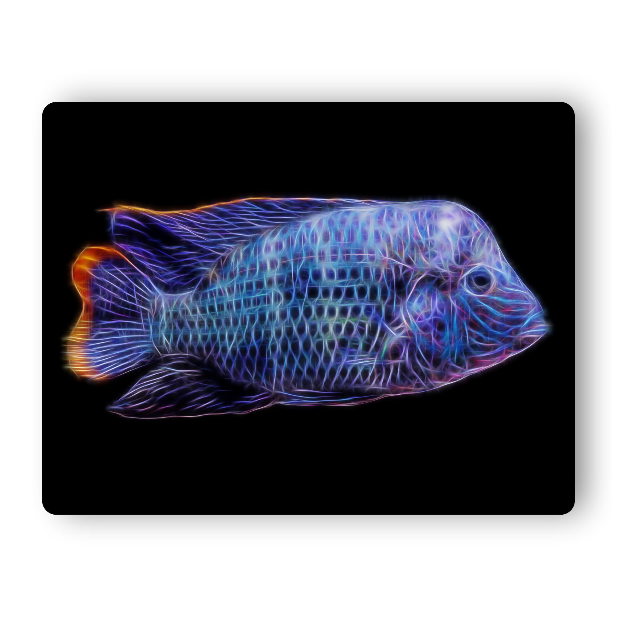 Custom Fish Portrait Print From Your Own Photos. - Etsy