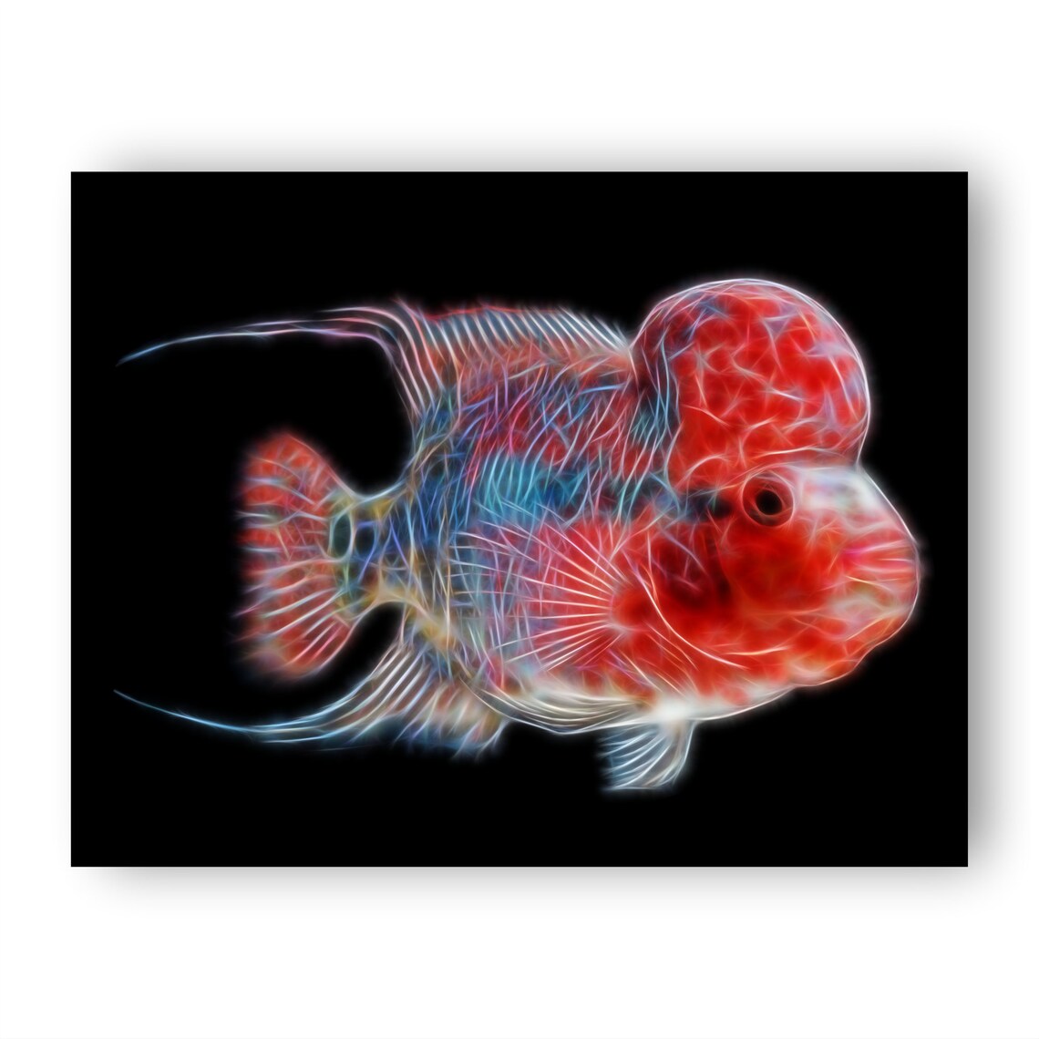 Flowerhorn Cichlid Fish Print With Stunning Fractal Art Design - Etsy