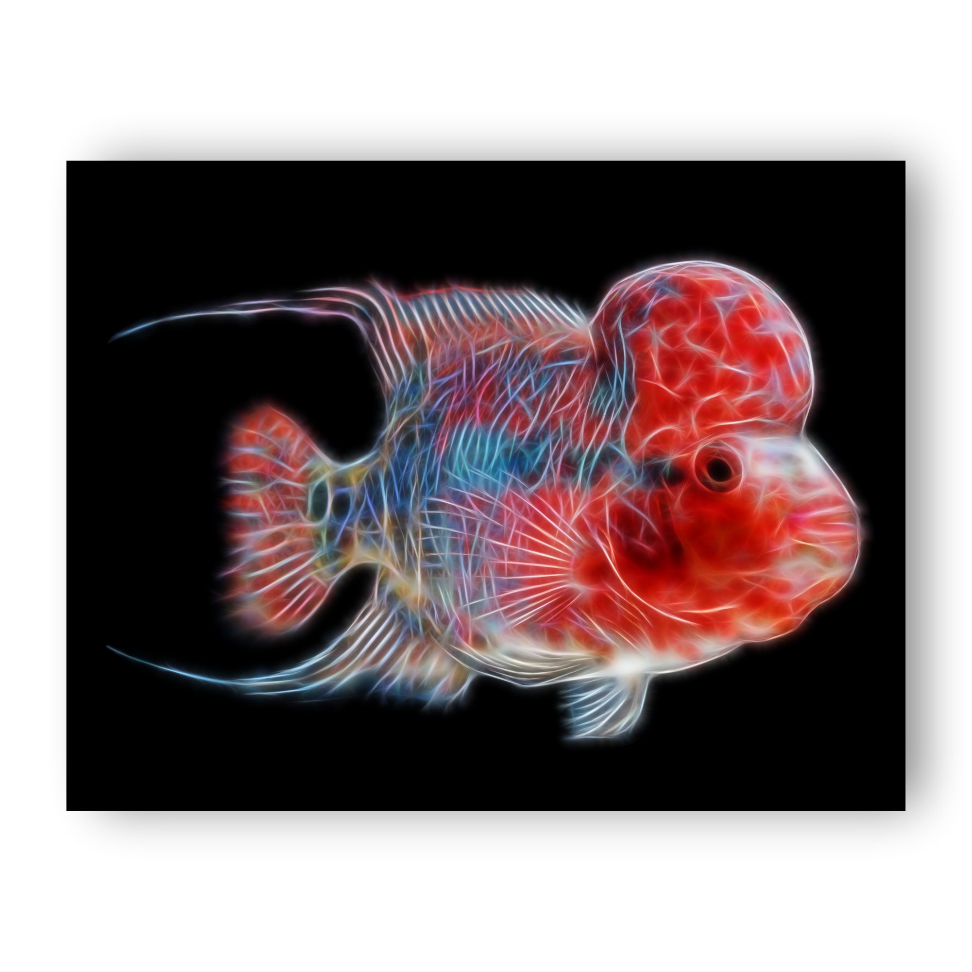 Flowerhorn Cichlid Fish Print With Stunning Fractal Art Design - Etsy ...