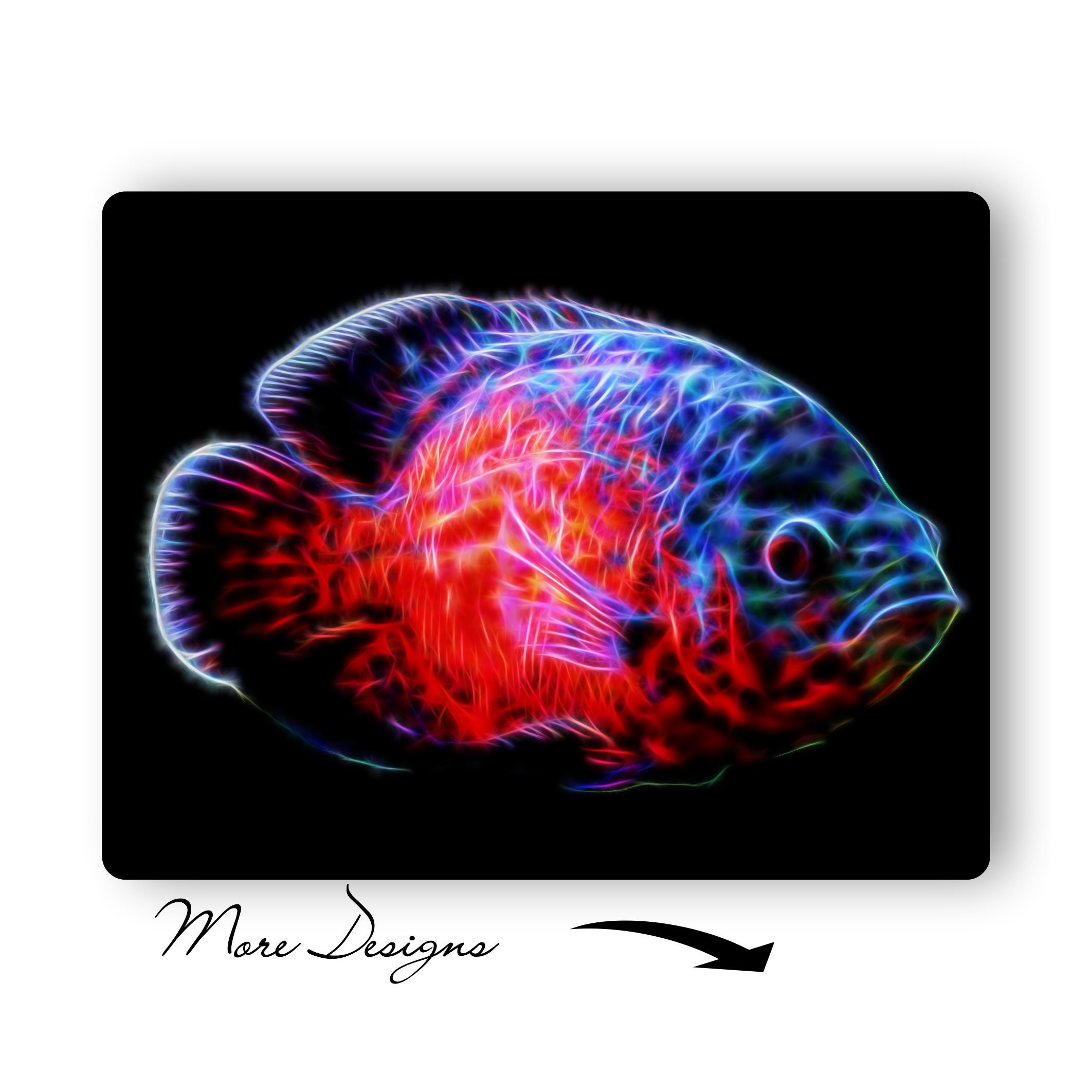 Veiled Oscar Cichlid