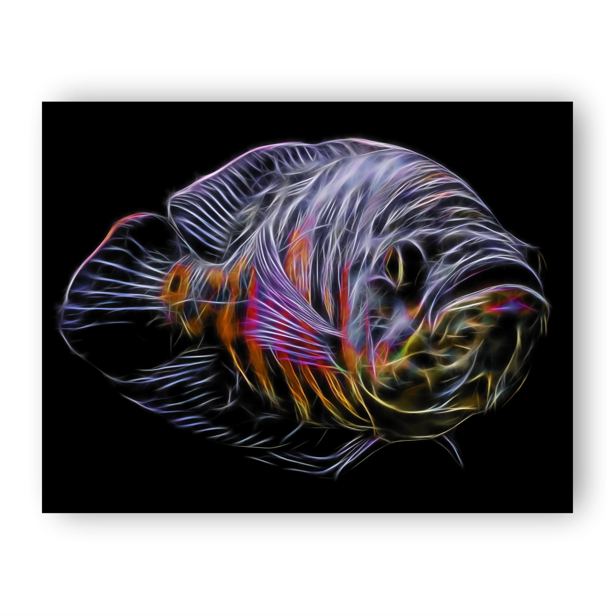 Tiger Oscar Fish Print With Stunning Fractal Art Design. - Etsy UK