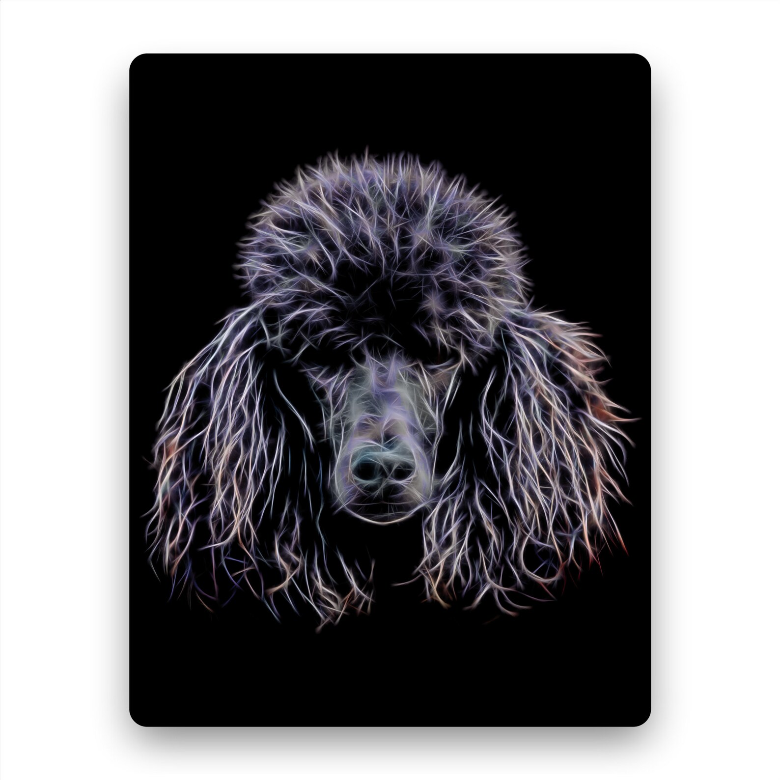 Black Standard Poodle Metal Wall Plaque With Stunning Fractal Art ...