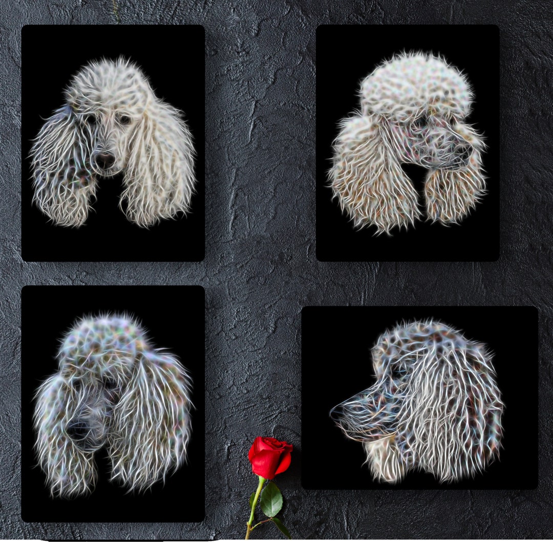 White Standard Poodle Metal Wall Plaque With Stunning Fractal Art ...