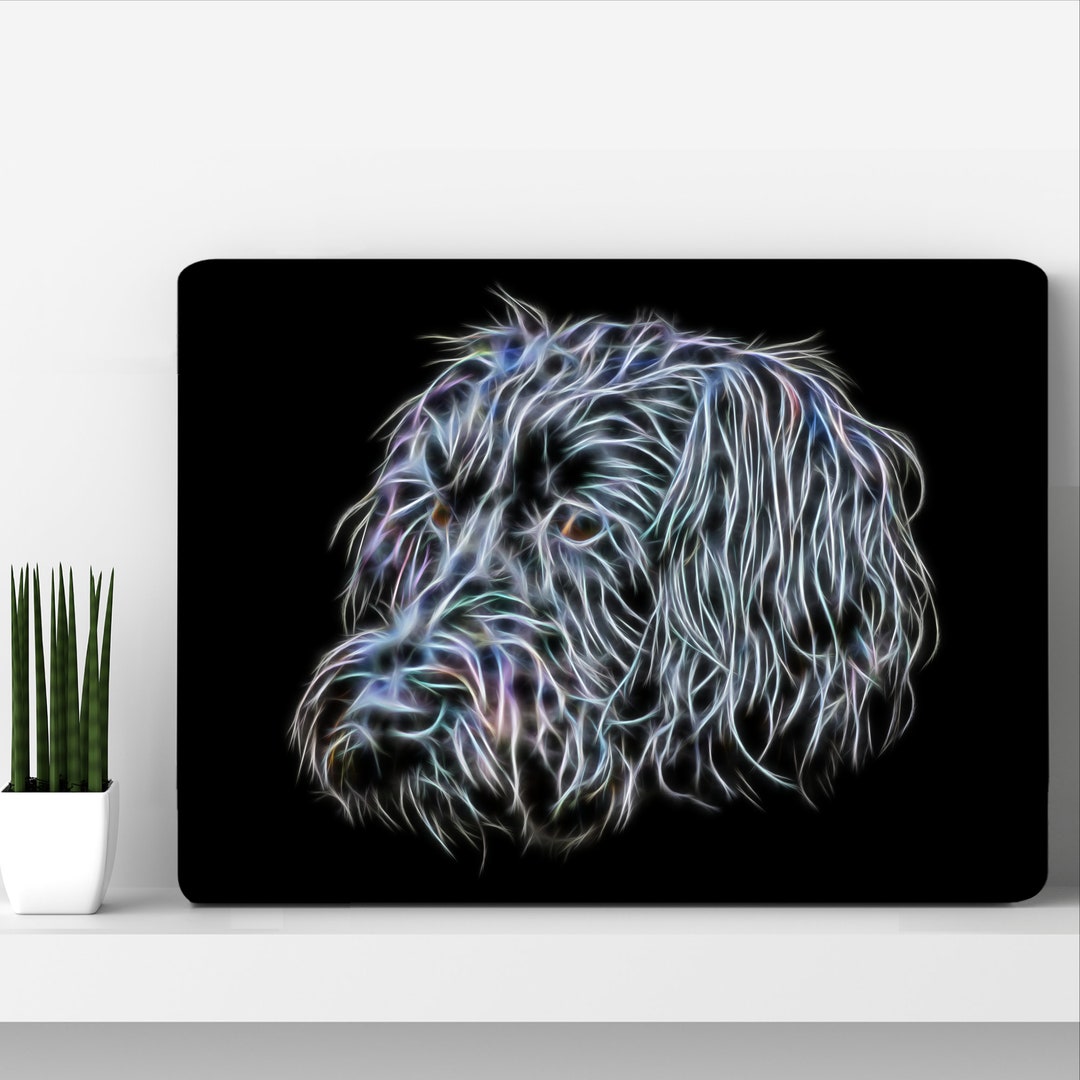 Schnoodle Metal Wall Plaque With Stunning Fractal Art Design - Etsy