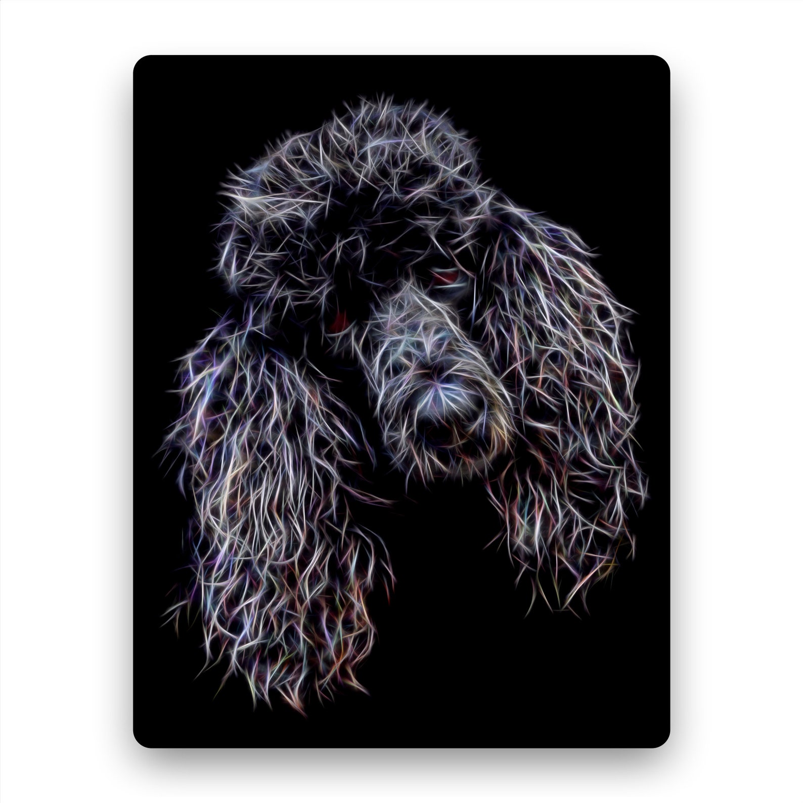 Black Standard Poodle Metal Wall Plaque With Stunning Fractal Art ...