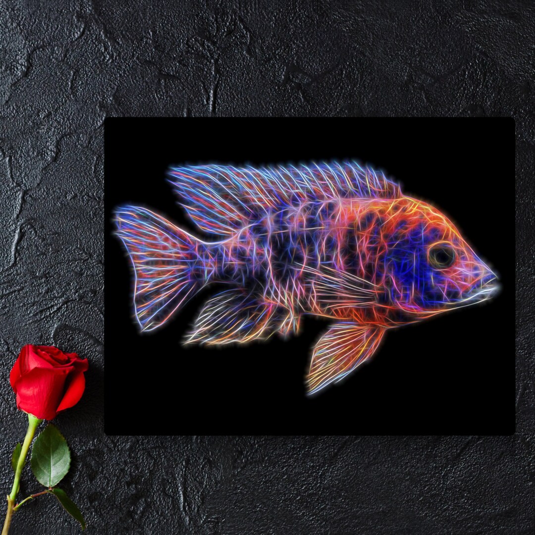 Orange OB Peacock Cichlid Fish Print With Stunning Fractal Art Design ...