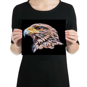 Harris Hawk Metal Wall Plaque With Stunning Fractal Art Design - Etsy UK