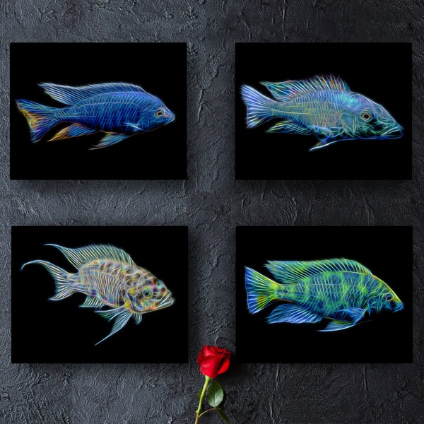 African Cichlid - Etsy