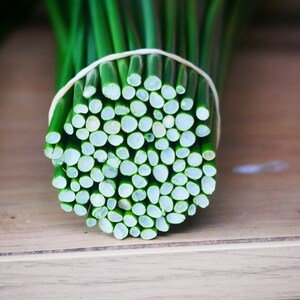 DIY KIT Irish Rushes Make Your Own St.brigids Cross, Imbolc Cross. - Etsy